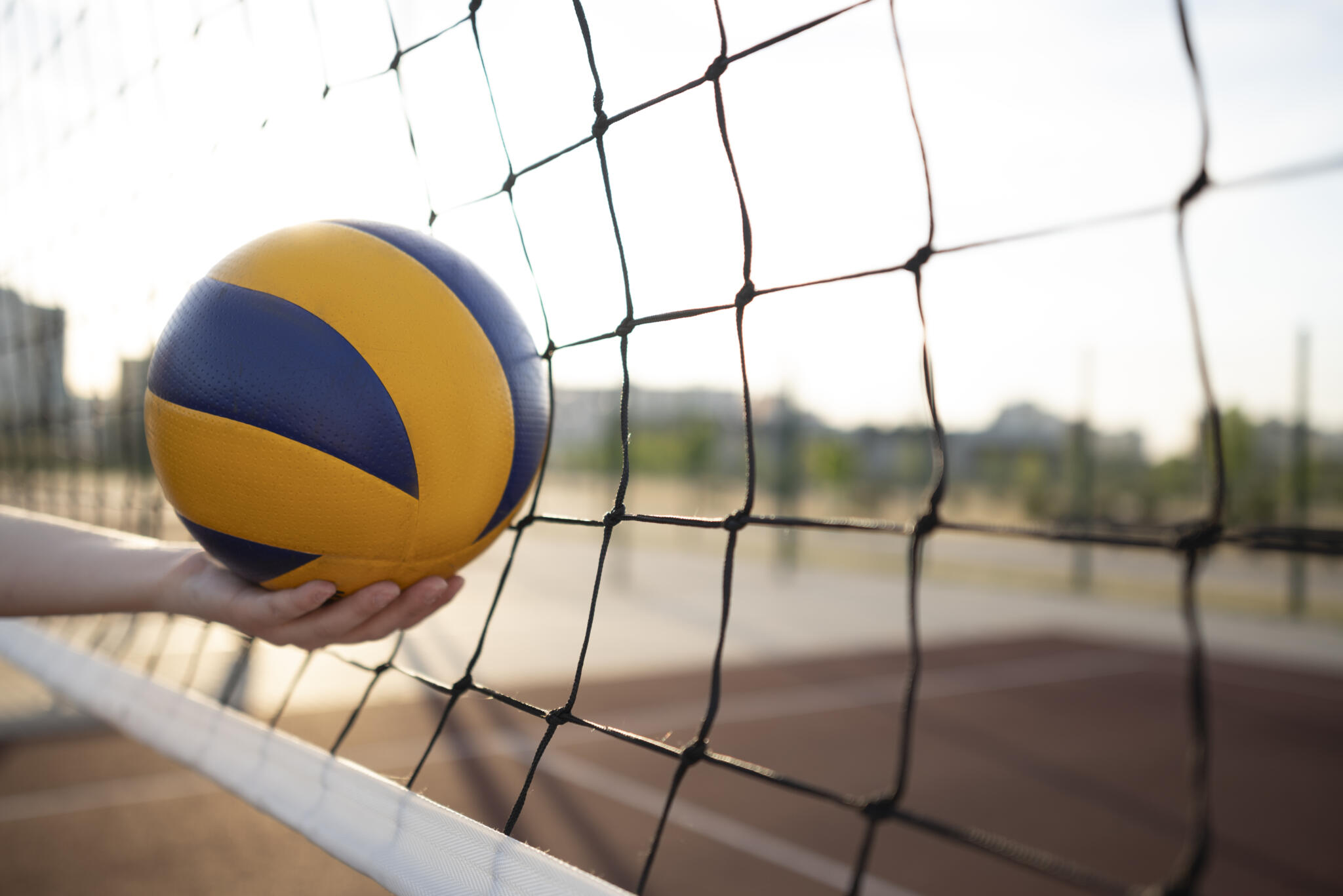 Grandes Atletas do Vôlei Brasileiro: História e Legado
